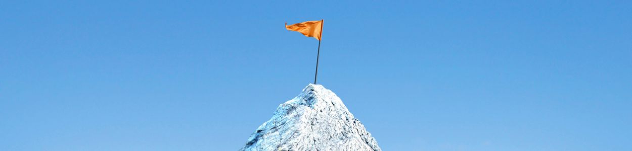 Counting What Counts: KPIs for Translation and Localization Counting What Counts: KPIs for Translation and Localization